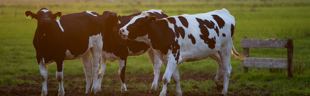 Farms – DGL Restaurant & Eatery